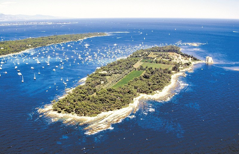 Boat trip to Ile Saint Honorat in Cannes